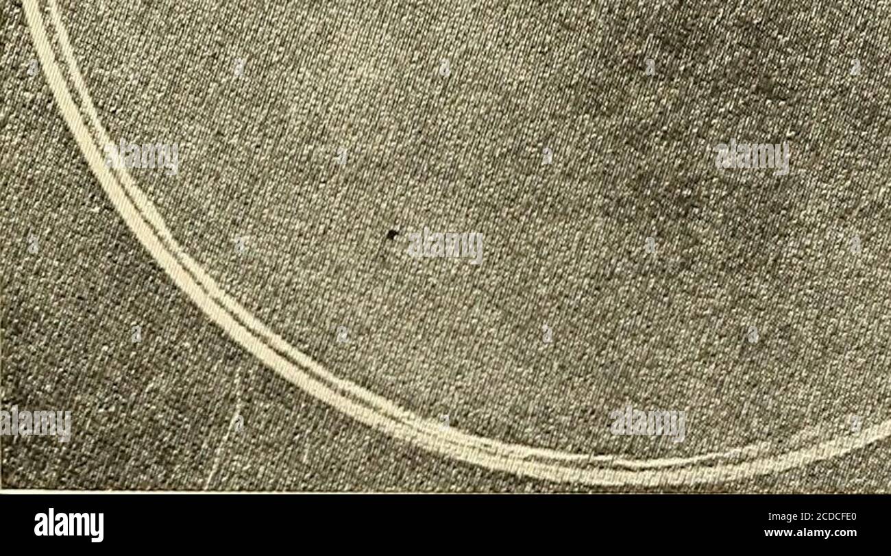 . Principles and practice of butter-making; a treatise on the chemical ...