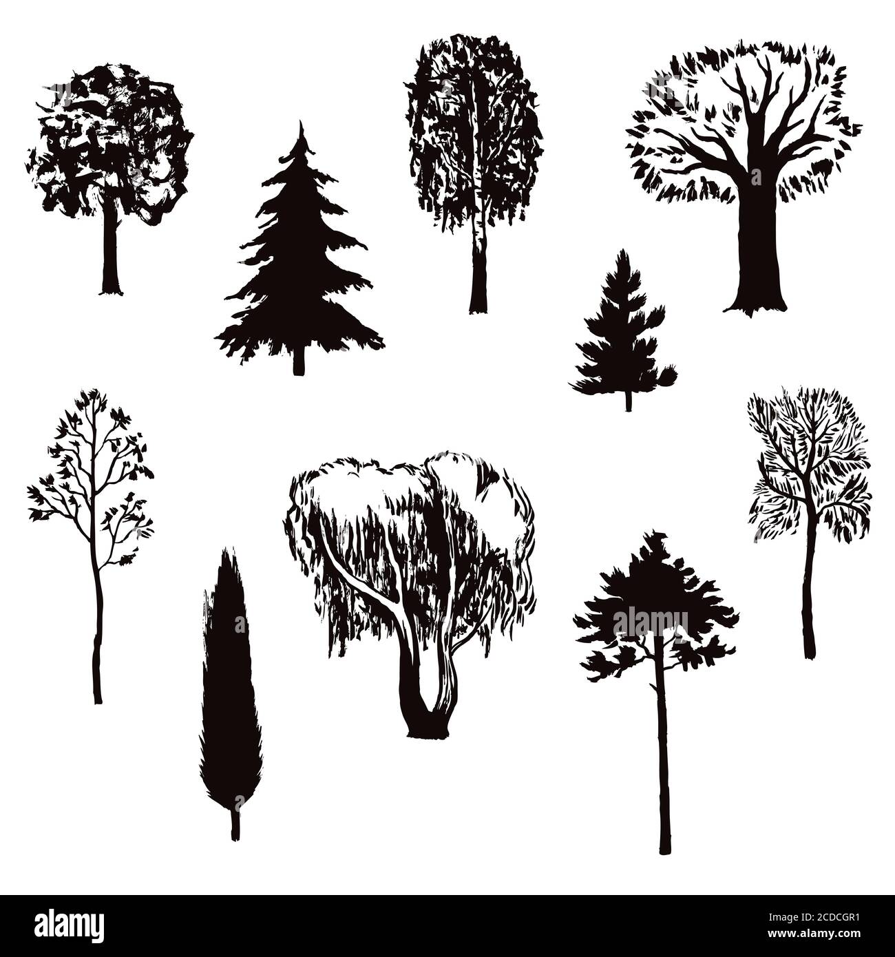 Birch wood on background Stock Vector Images - Alamy