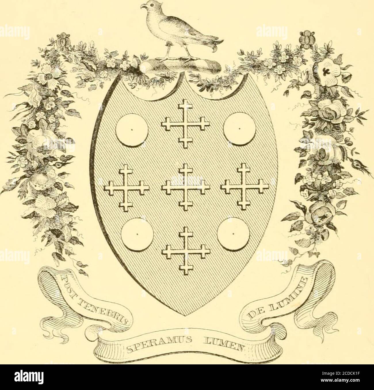 Mary currier hi-res stock photography and images - Alamy