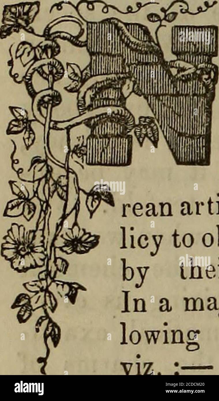 Sloth victim hi-res stock photography and images - Alamy