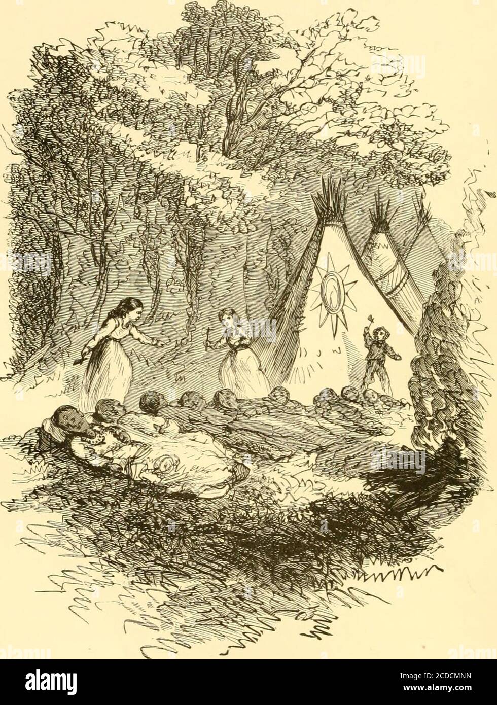 . The history of Boscawen and Webster [N.H.] from 1733 to 1878 ...