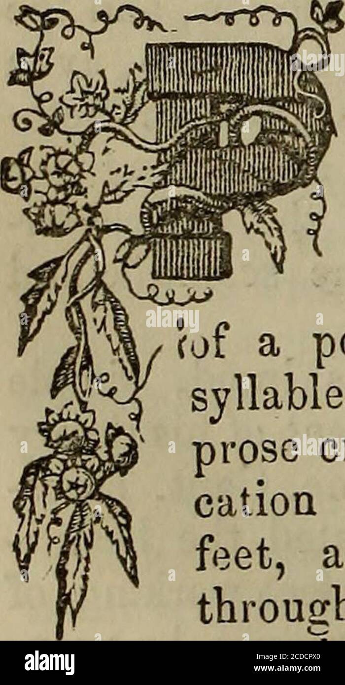 Deans meadows hi-res stock photography and images - Alamy