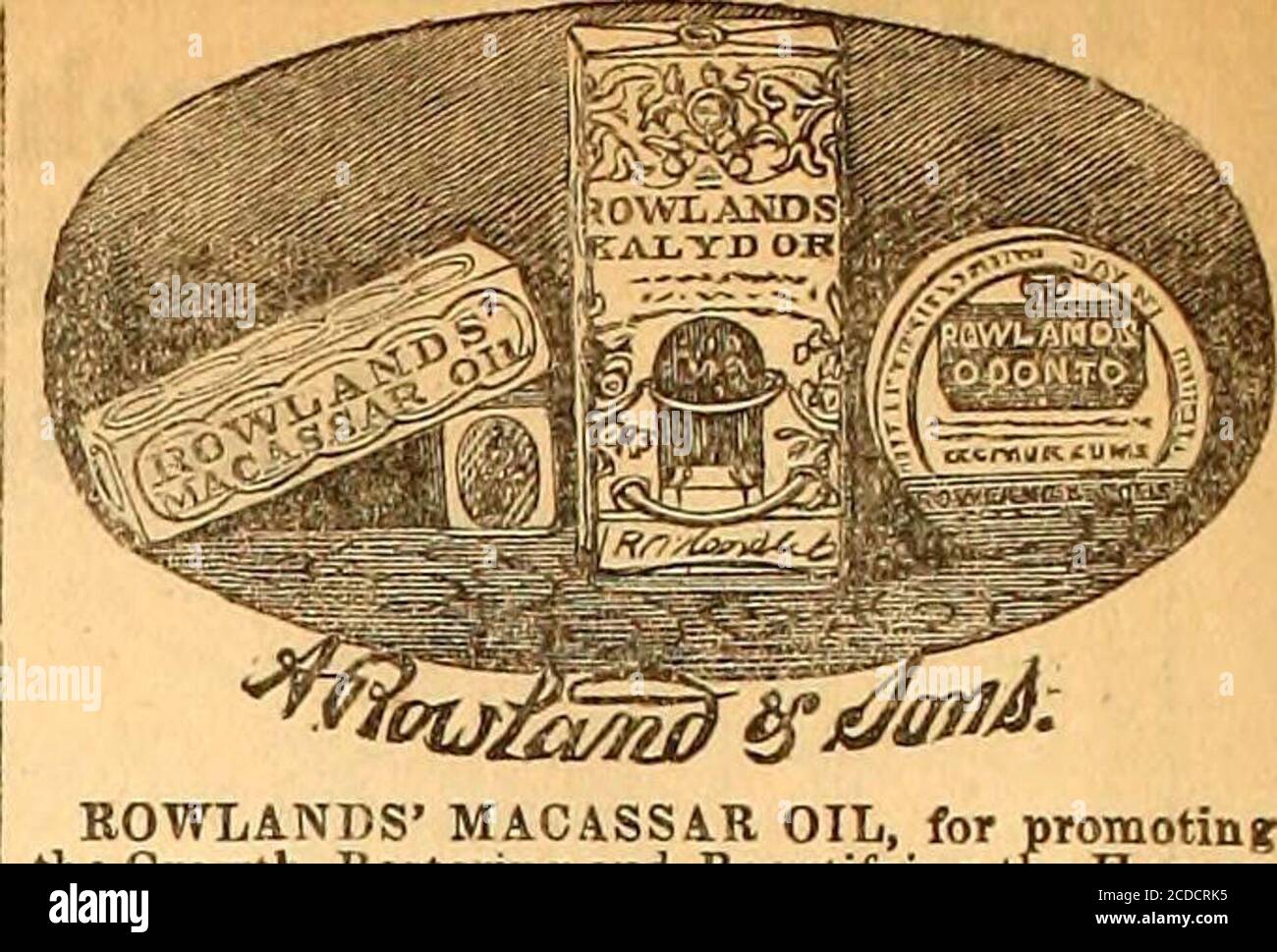 . Punch . ROWLANDS MACASSAR OIL, for promotingthe Growth, Restoring and ...