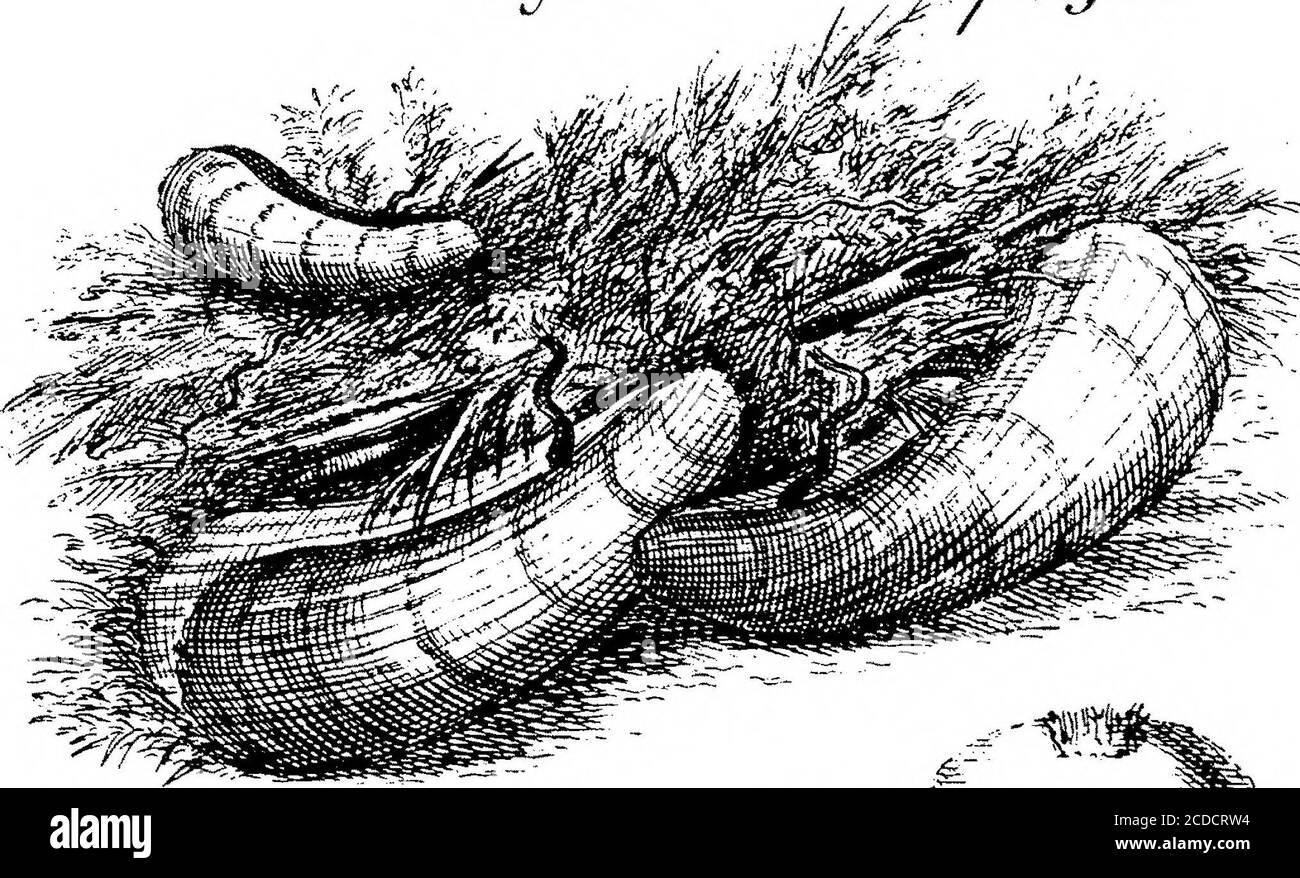 Bookdecade1750 Cut Out Stock Images & Pictures - Alamy