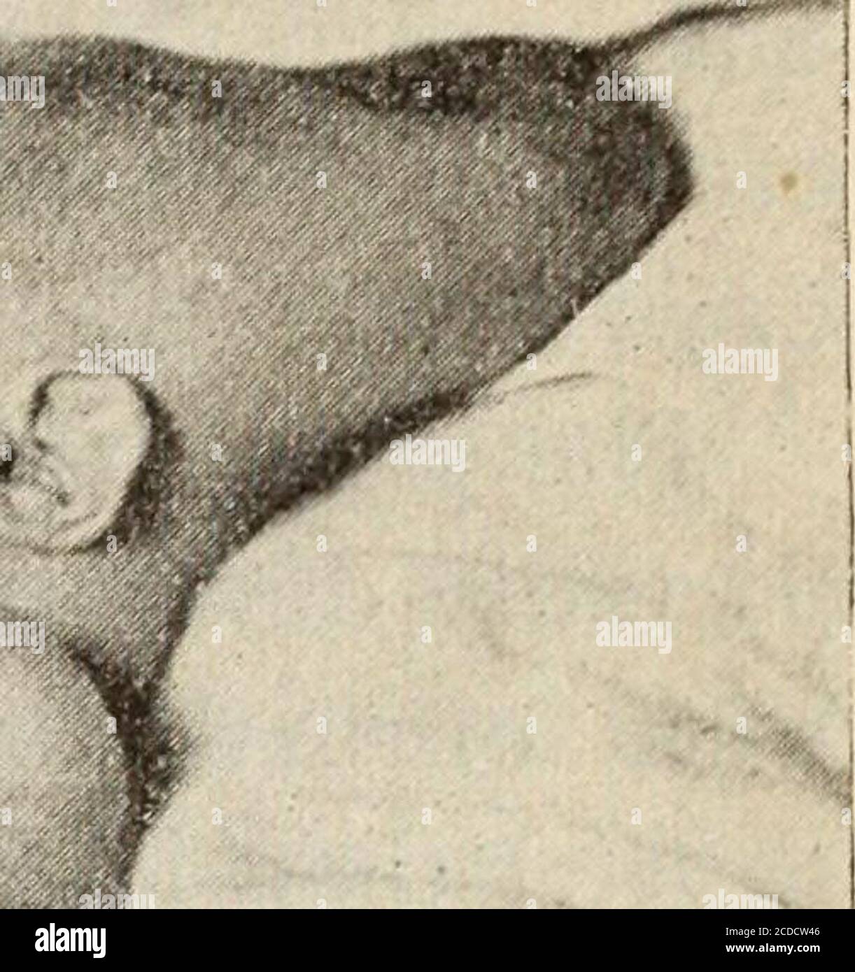 Retrograde process hi-res stock photography and images - Alamy