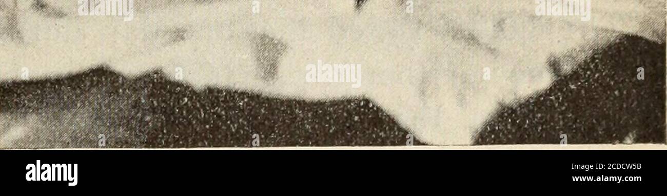 Neonatorum hi-res stock photography and images - Alamy