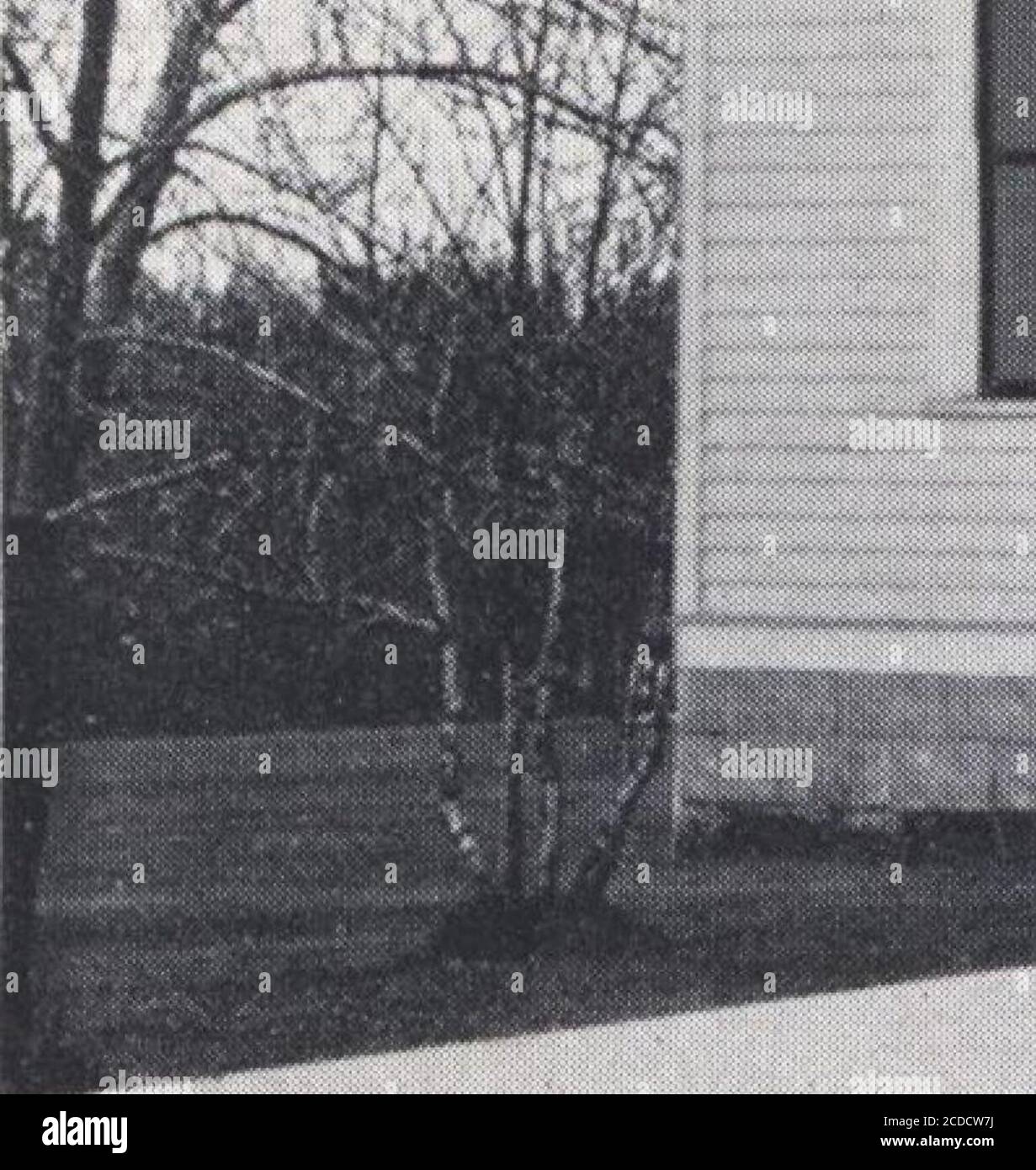 . Bennett better-built, ready-cut homes, catalog no. 21 . - TACOMA ...