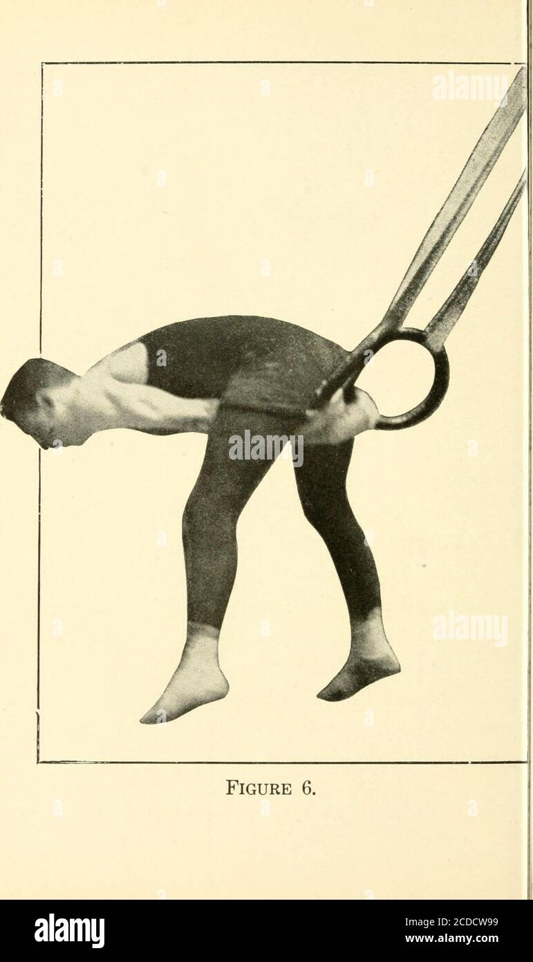 Shoulder Dislocation In Horses