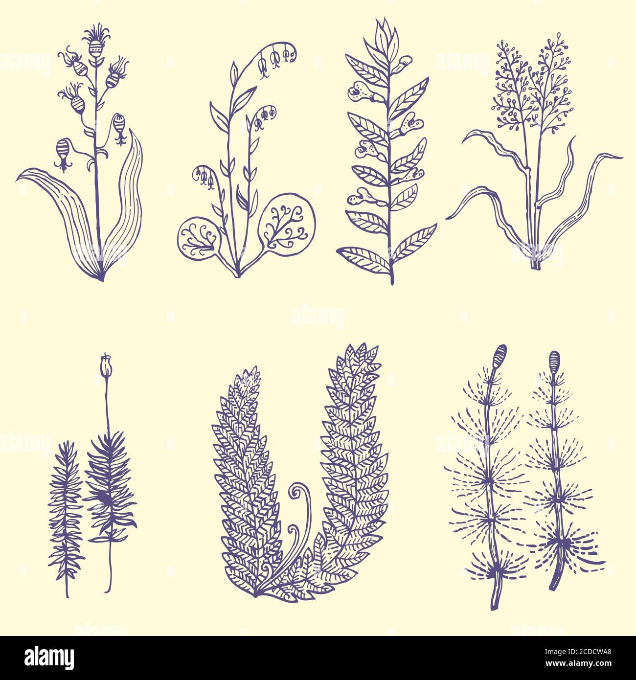 Set of ink drawn simple plants of forest and meadow Stock Vector Image ...