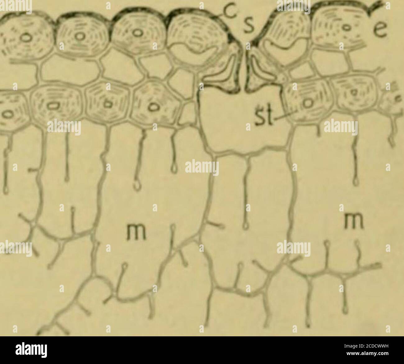 Drying win hi-res stock photography and images - Alamy