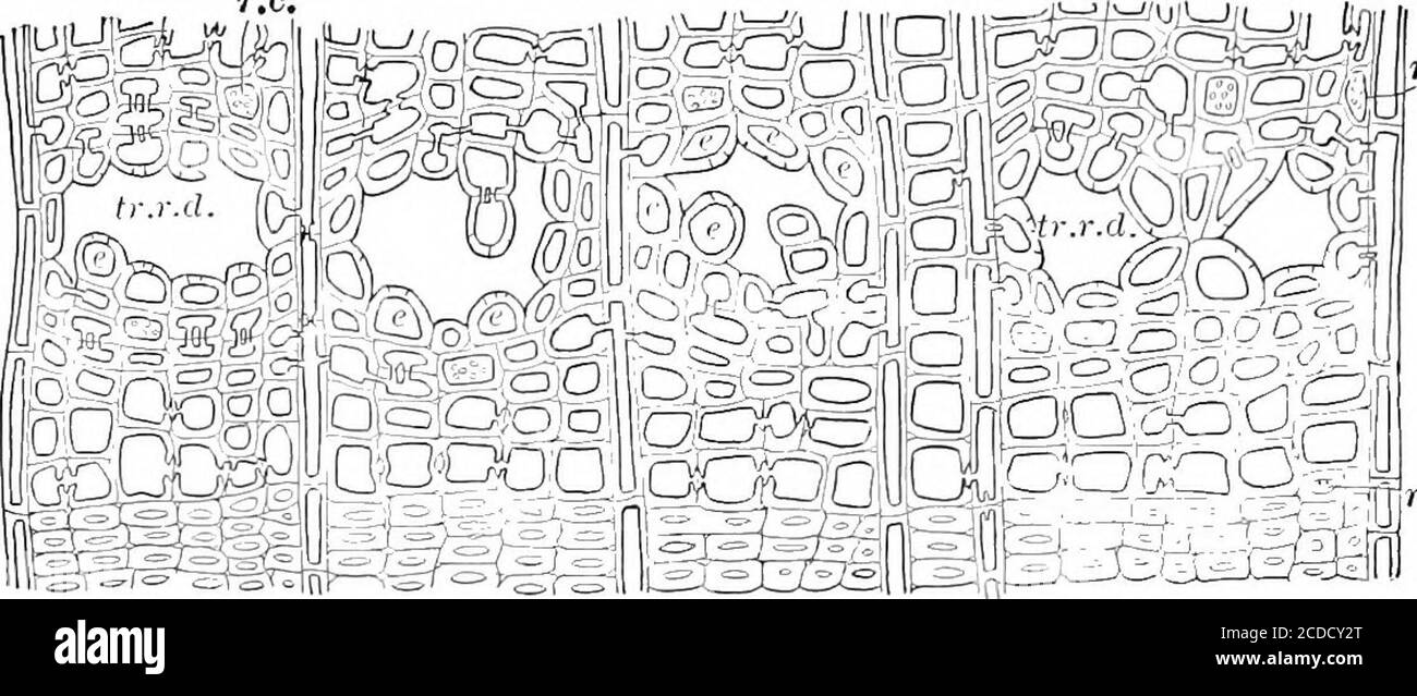 Simple pits Black and White Stock Photos & Images - Alamy