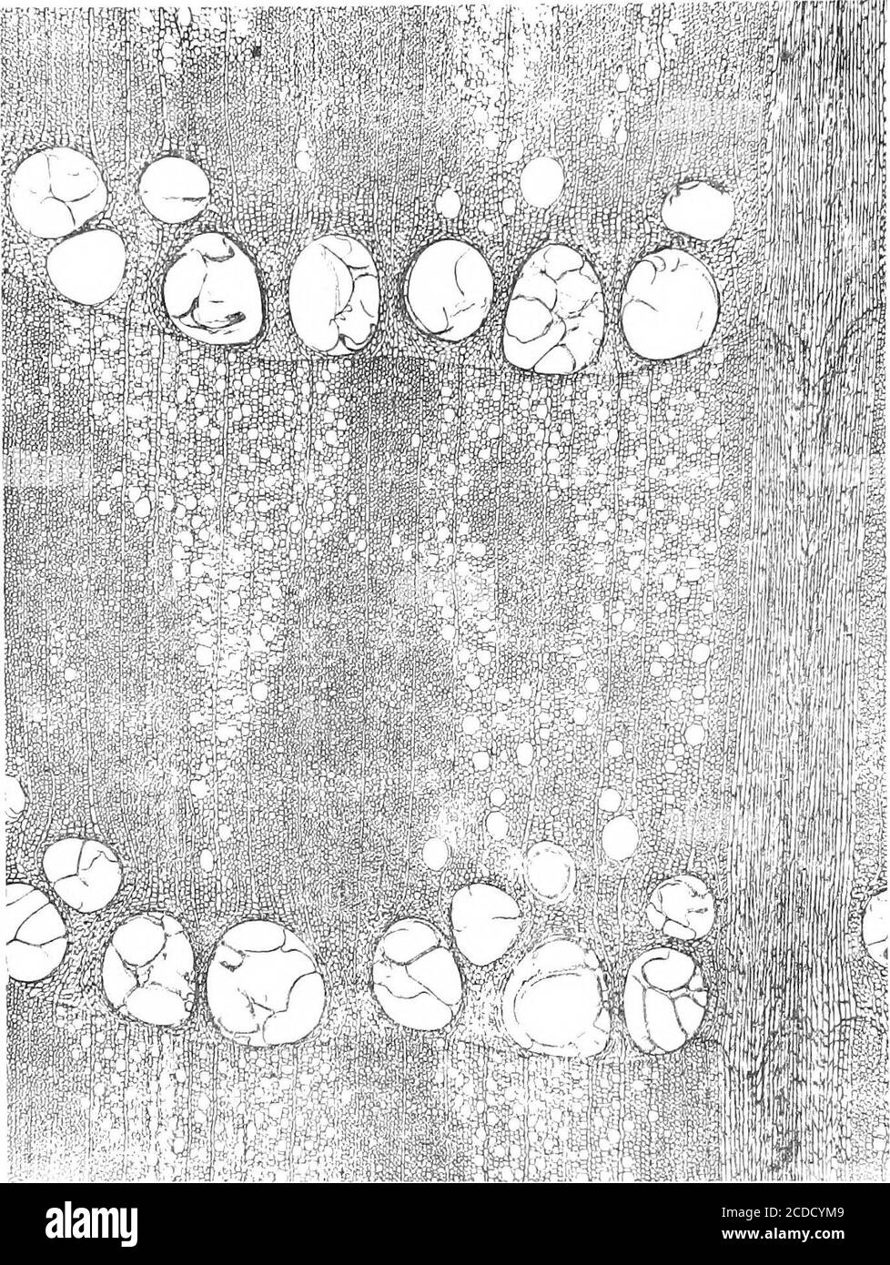 Diminishing size Black and White Stock Photos & Images - Alamy