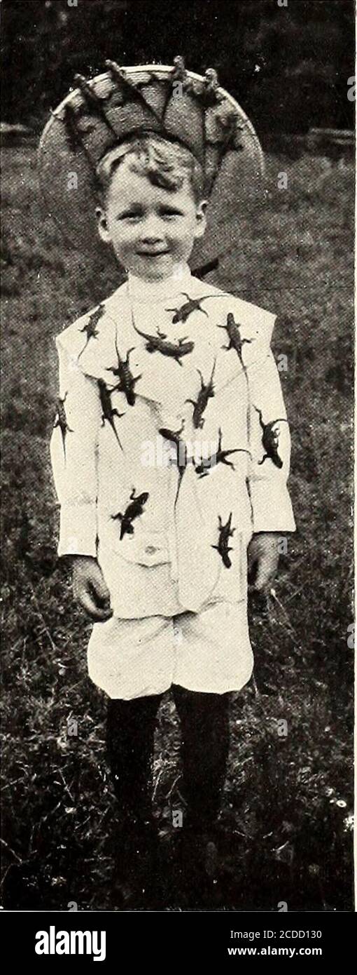 Delaware graph hi-res stock photography and images - Alamy