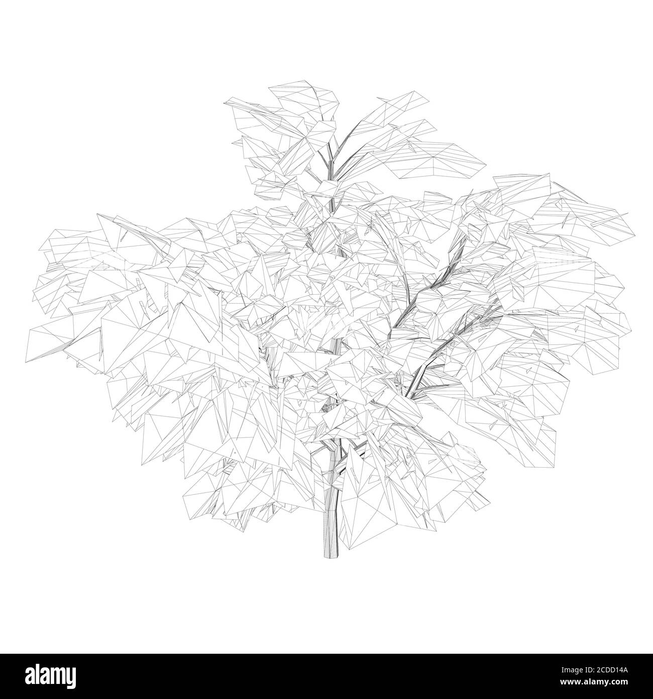 Wireframe tree with many leaves isolated on white background. 3D ...