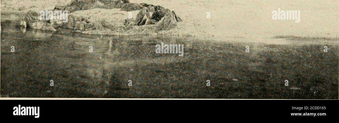 Upper greensand formation hi-res stock photography and images - Alamy