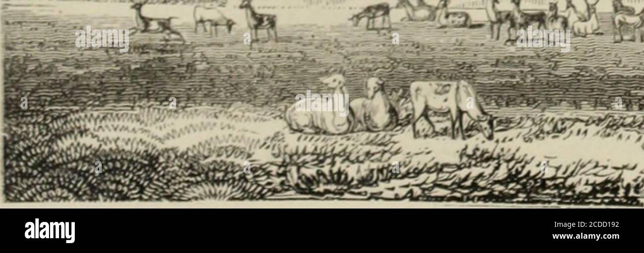 . Old England : a pictorial museum of regal, ecclesiastical, baronial ...