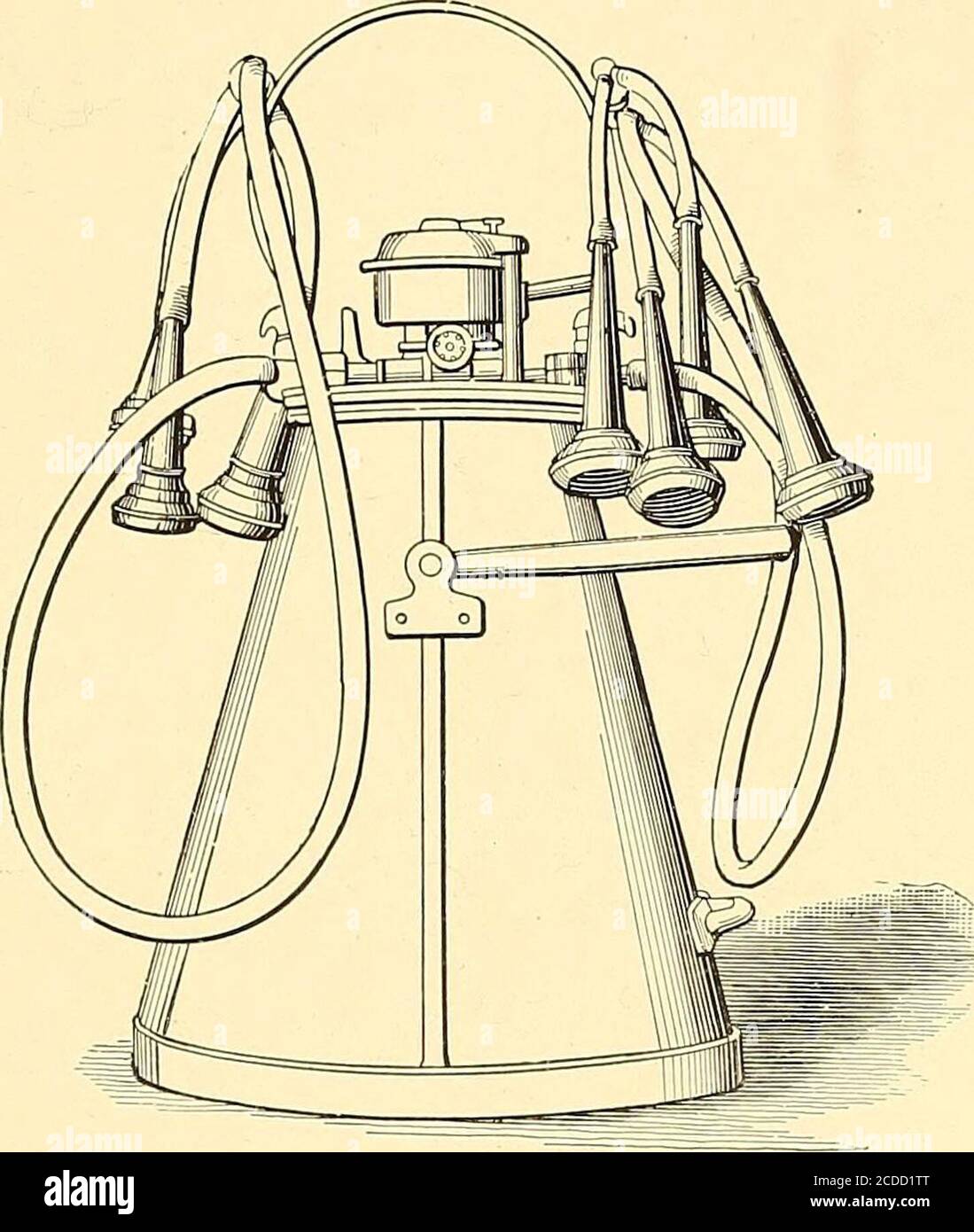 Milking practice hi-res stock photography and images - Alamy