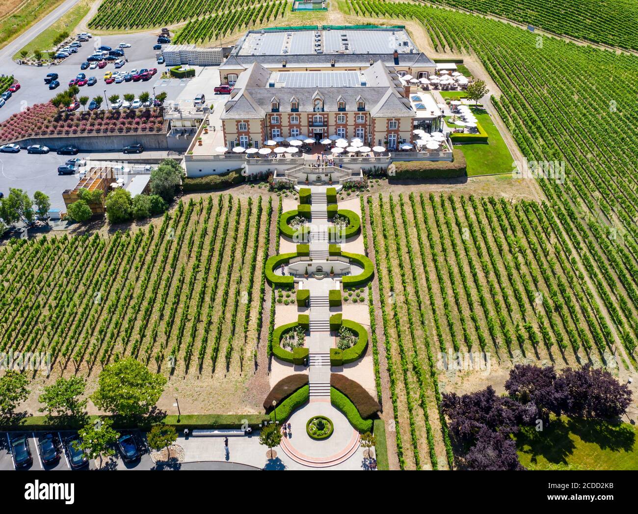 California wine tasting pinot noir hi-res stock photography and images ...