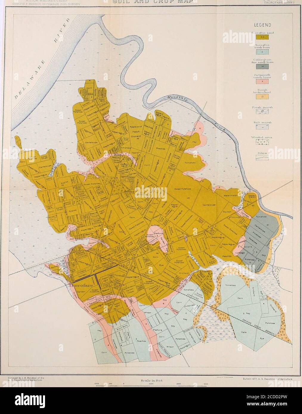 . Soils of southern New Jersey and their uses . 3DiL AMD CROP MAP WEW ...