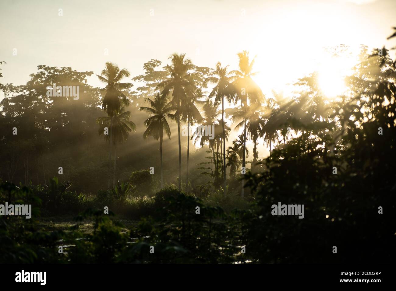 Beautiful sunrise in Kota Marudu, Sabah Stock Photo - Alamy