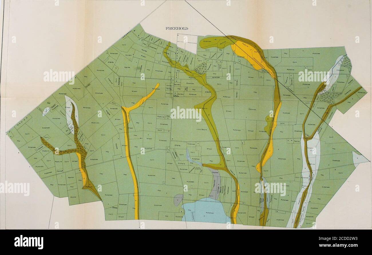 . Soils of southern New Jersey and their uses . for the most im-portant ...
