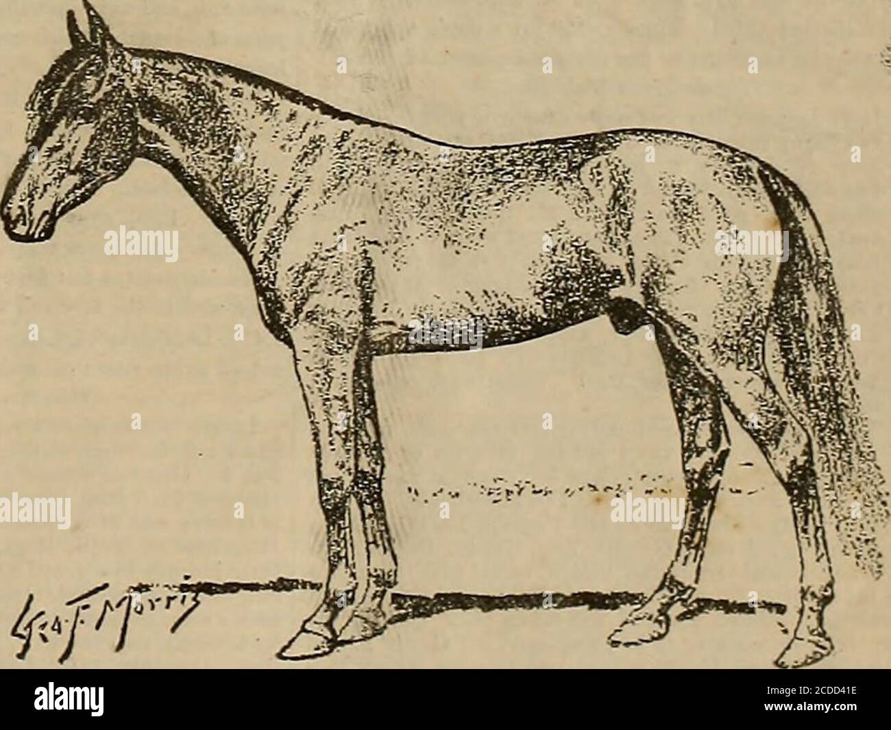 Black veterans of ie hi-res stock photography and images - Alamy