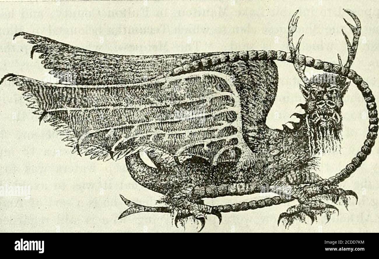 97 ears hi-res stock photography and images - Alamy