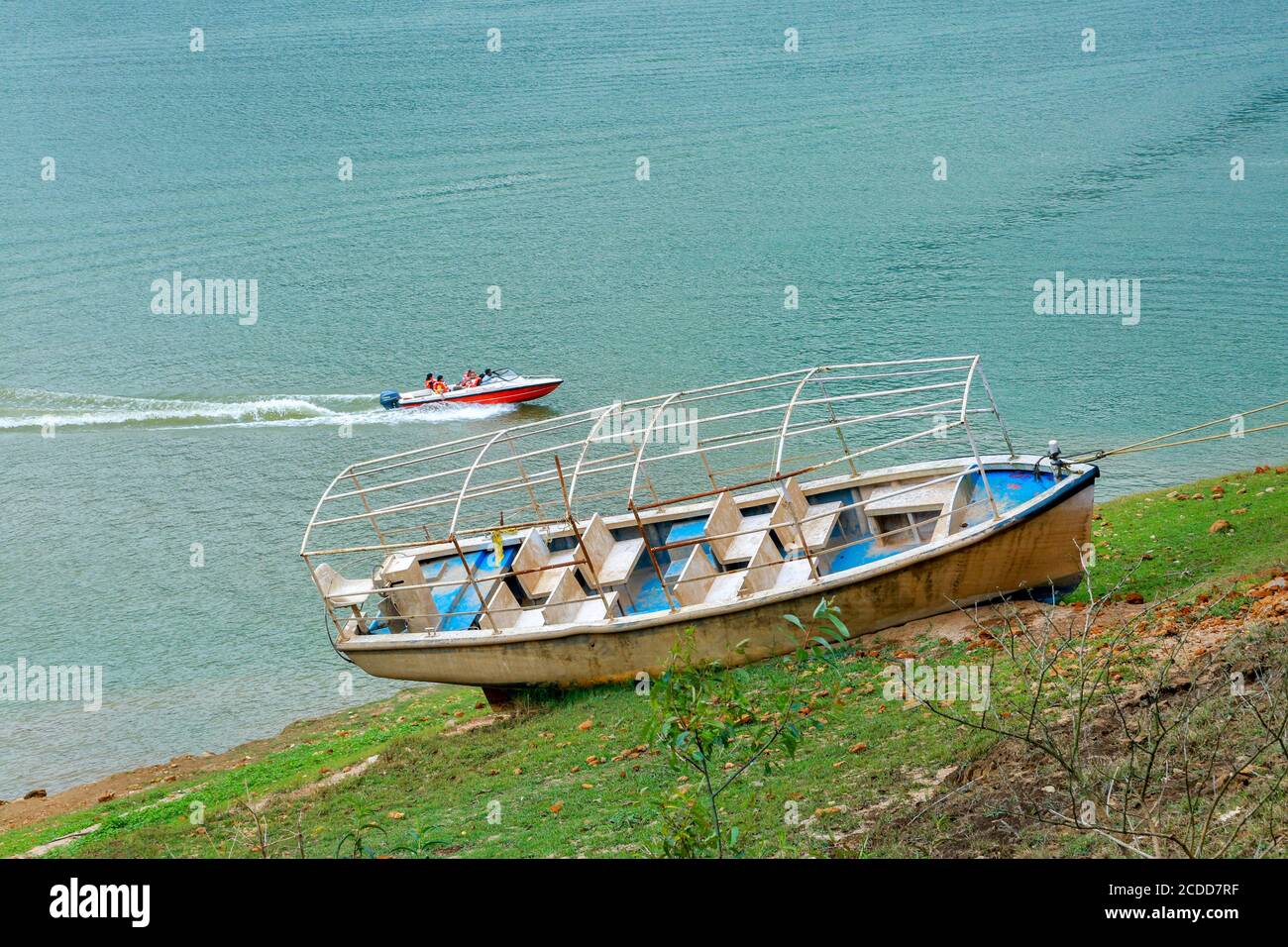 Happy family boating on the lake Stock Photo - Alamy