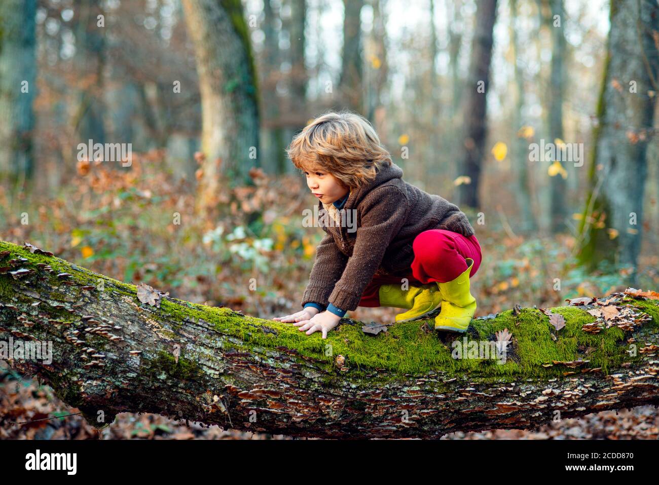 Child falling tree hi-res stock photography and images - Alamy