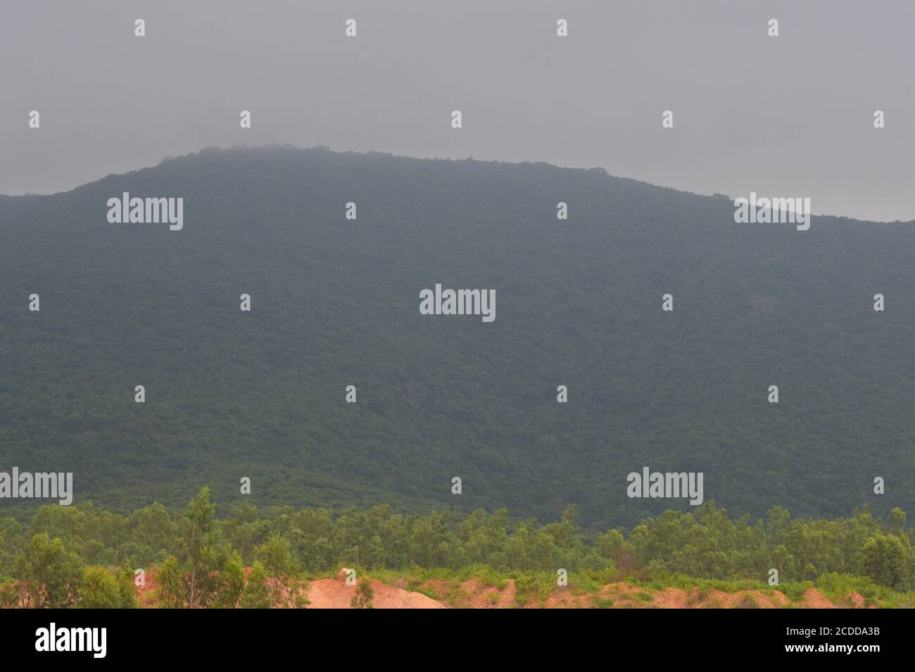 A greenery view of mountains forests and gardens Stock Photo - Alamy