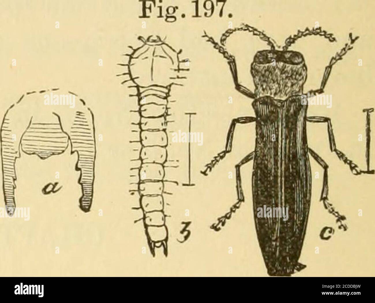 Itsbody hi-res stock photography and images - Alamy