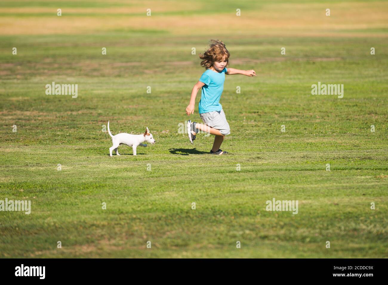 Happy child run with a dog outdoor Stock Photo - Alamy