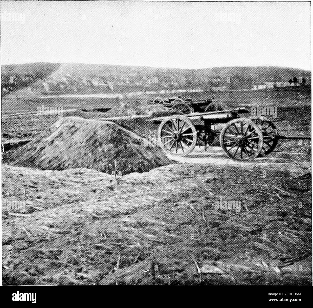 Parrotts hi-res stock photography and images - Alamy