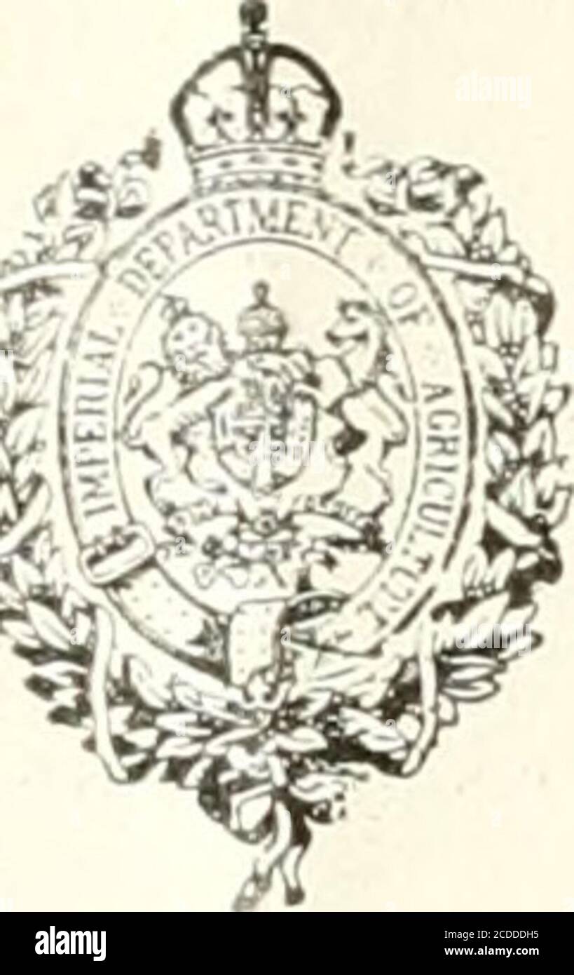 Zymase High Resolution Stock Photography and Images - Alamy