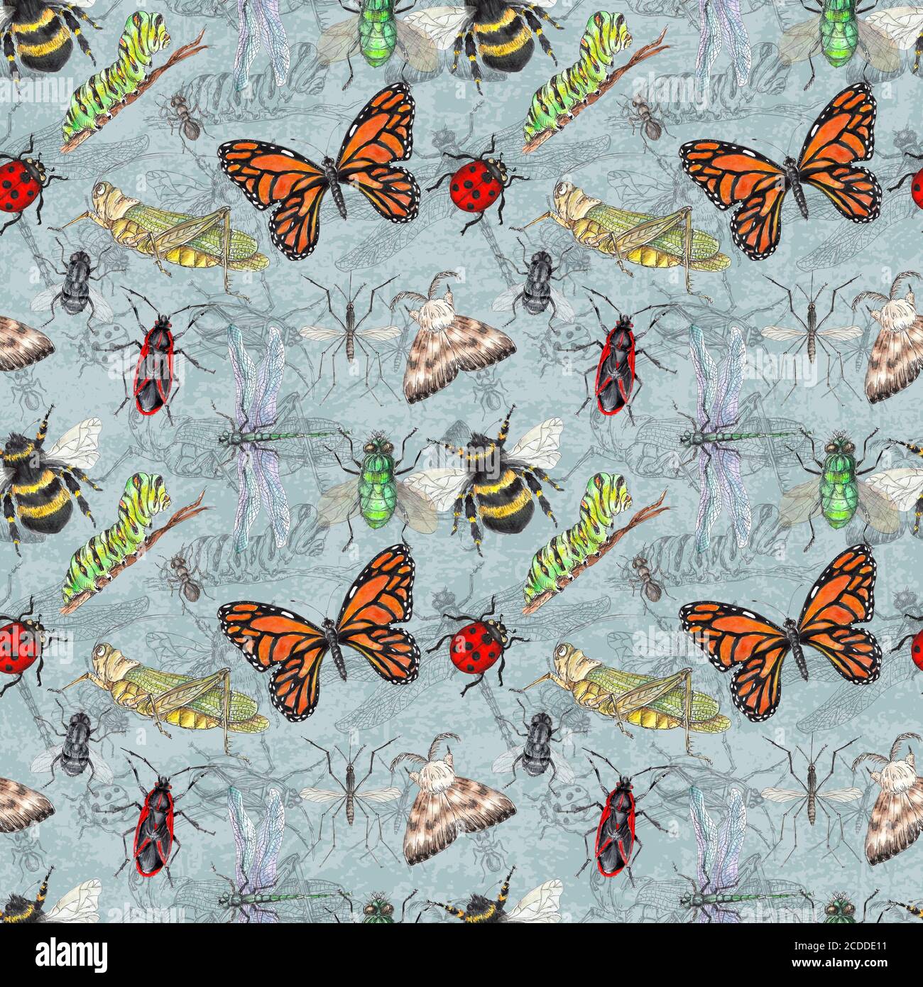 Mosquito fly pattern hi-res stock photography and images - Alamy