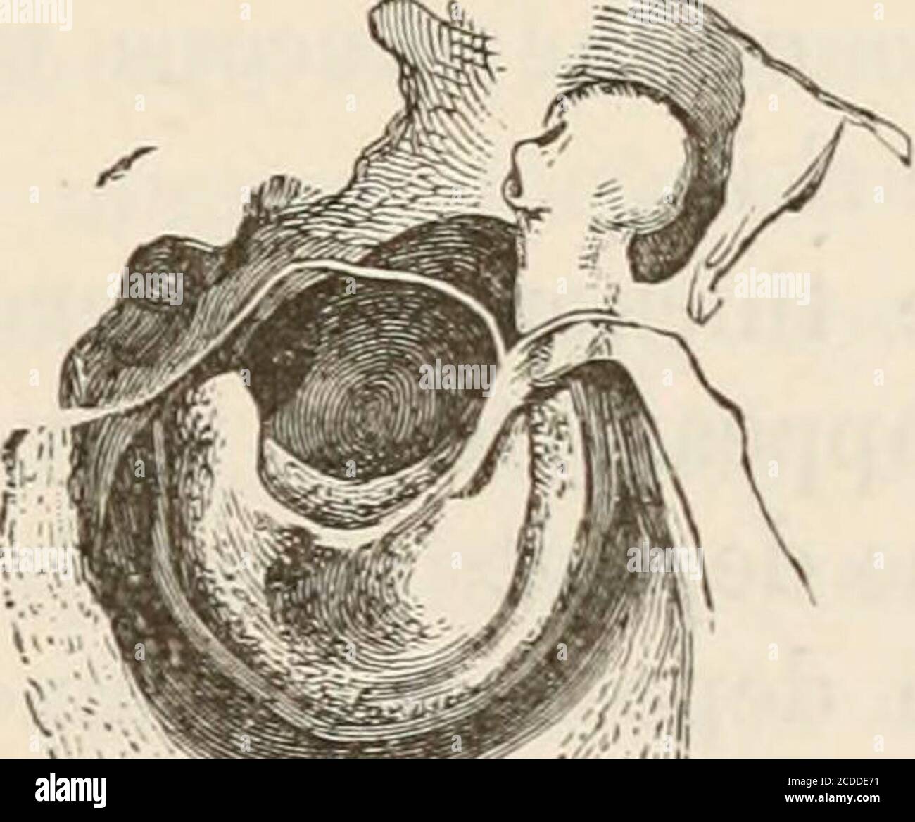 Quadrant Formation High Resolution Stock Photography and Images - Alamy