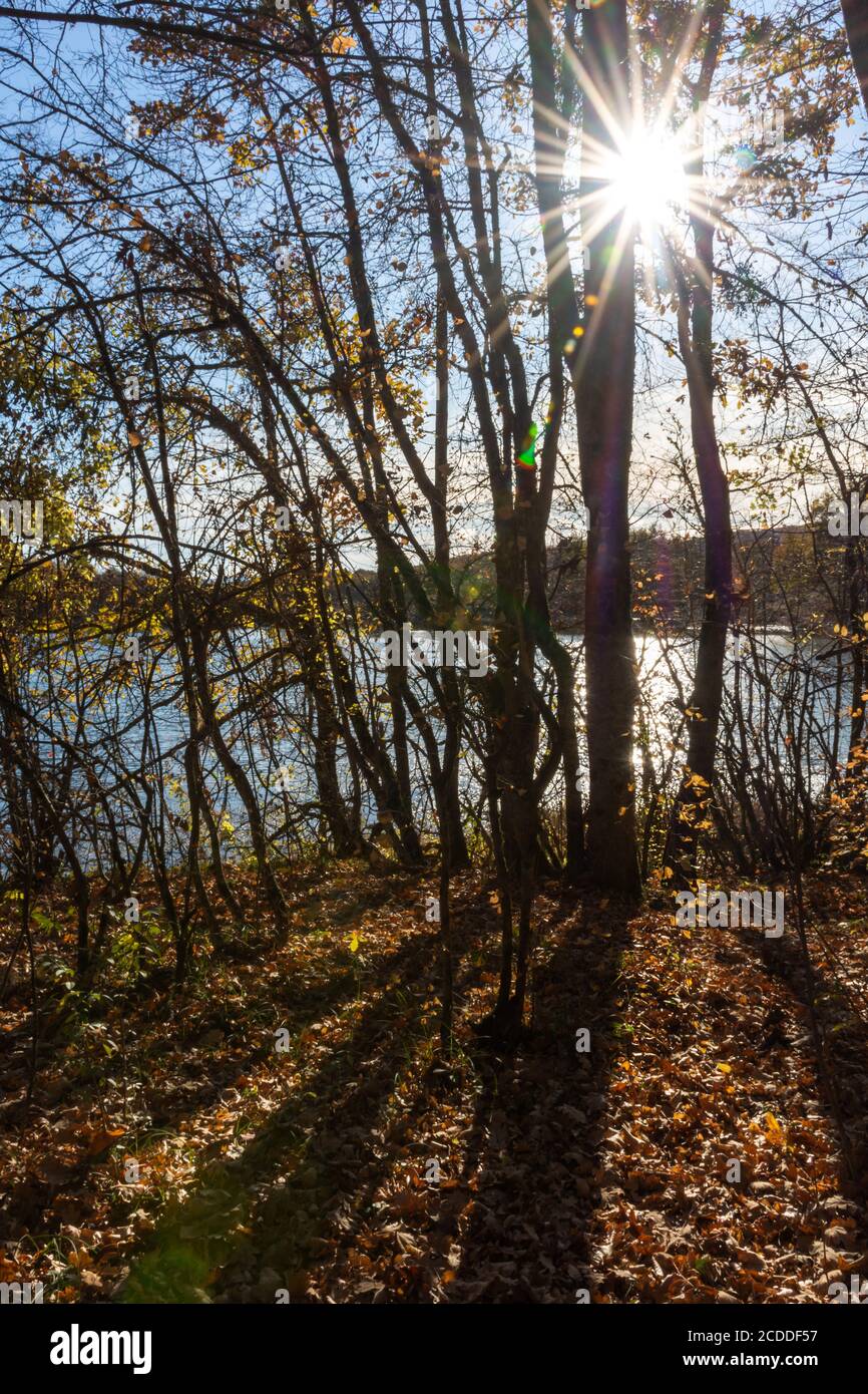 Long shadows sunshine through the trees hi-res stock photography and ...