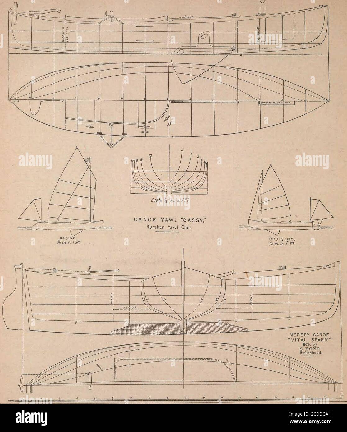 Pengum hi-res stock photography and images - Alamy