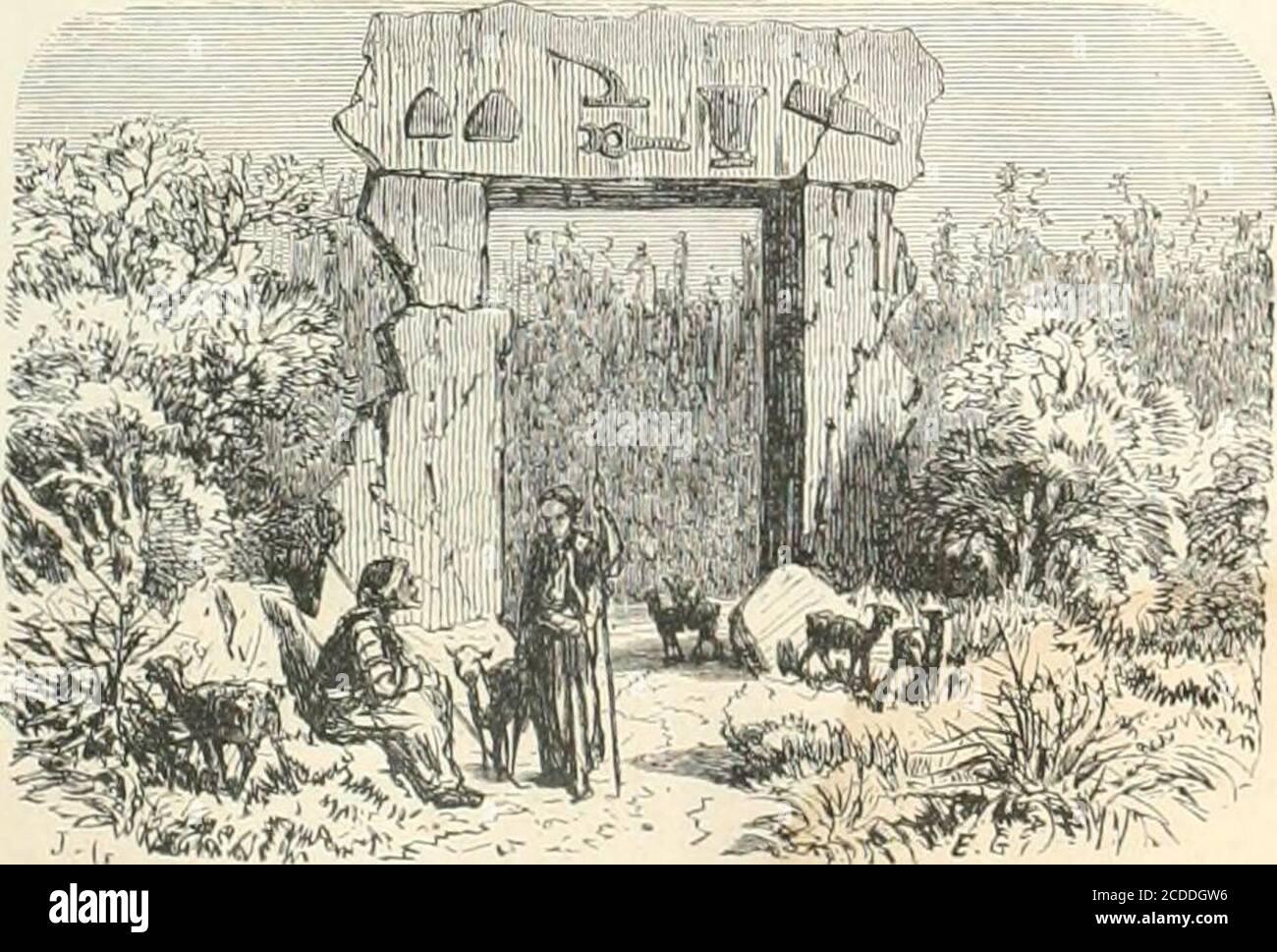 Setari hi-res stock photography and images - Alamy