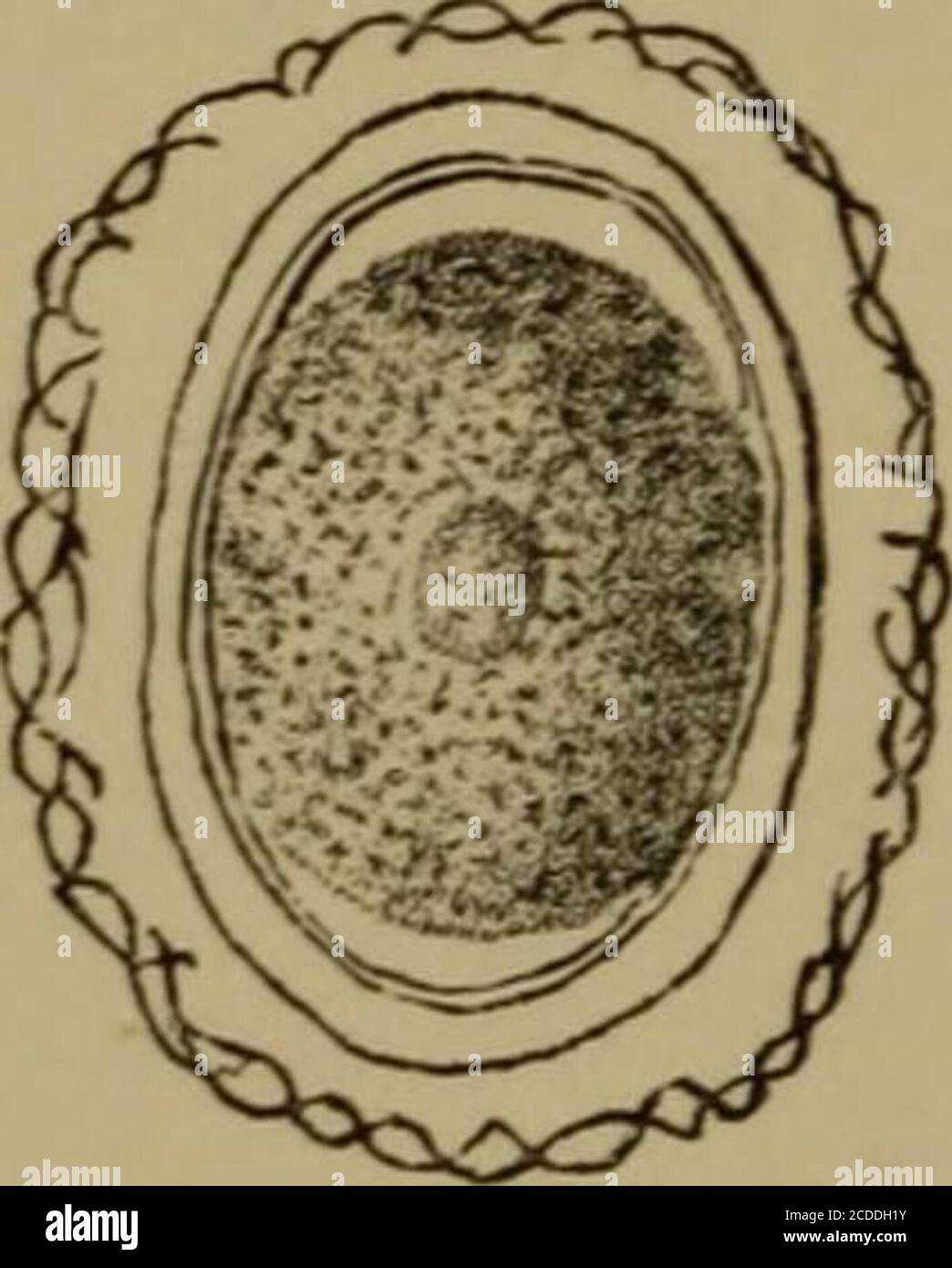 . The elements of pathological histology with special reference to ...