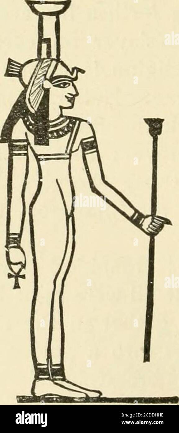 . Mary: The Queen of the House of david and Mother Jesus . erby far ...