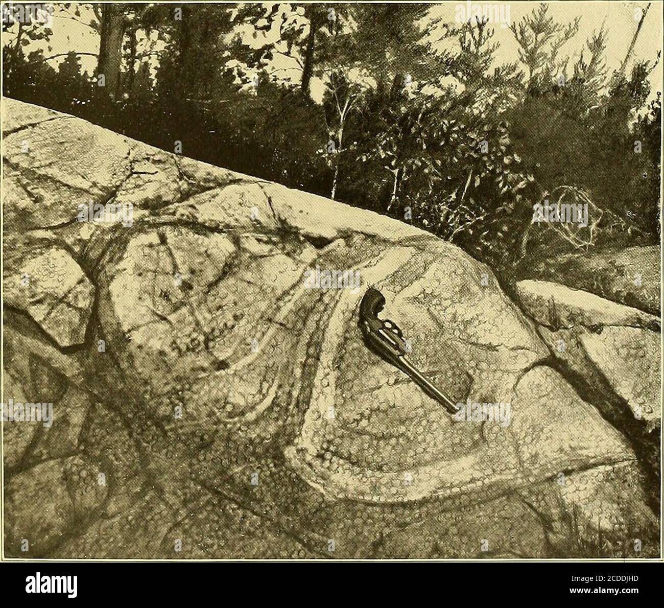 . The Vermilion iron-bearing district of Minnesota : with an atlas . A ...