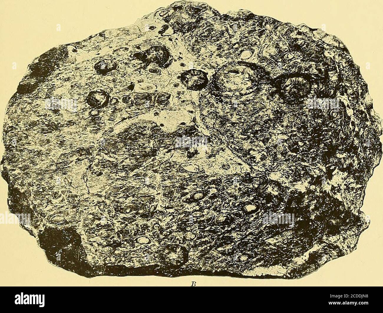 Spherulites hi-res stock photography and images - Alamy