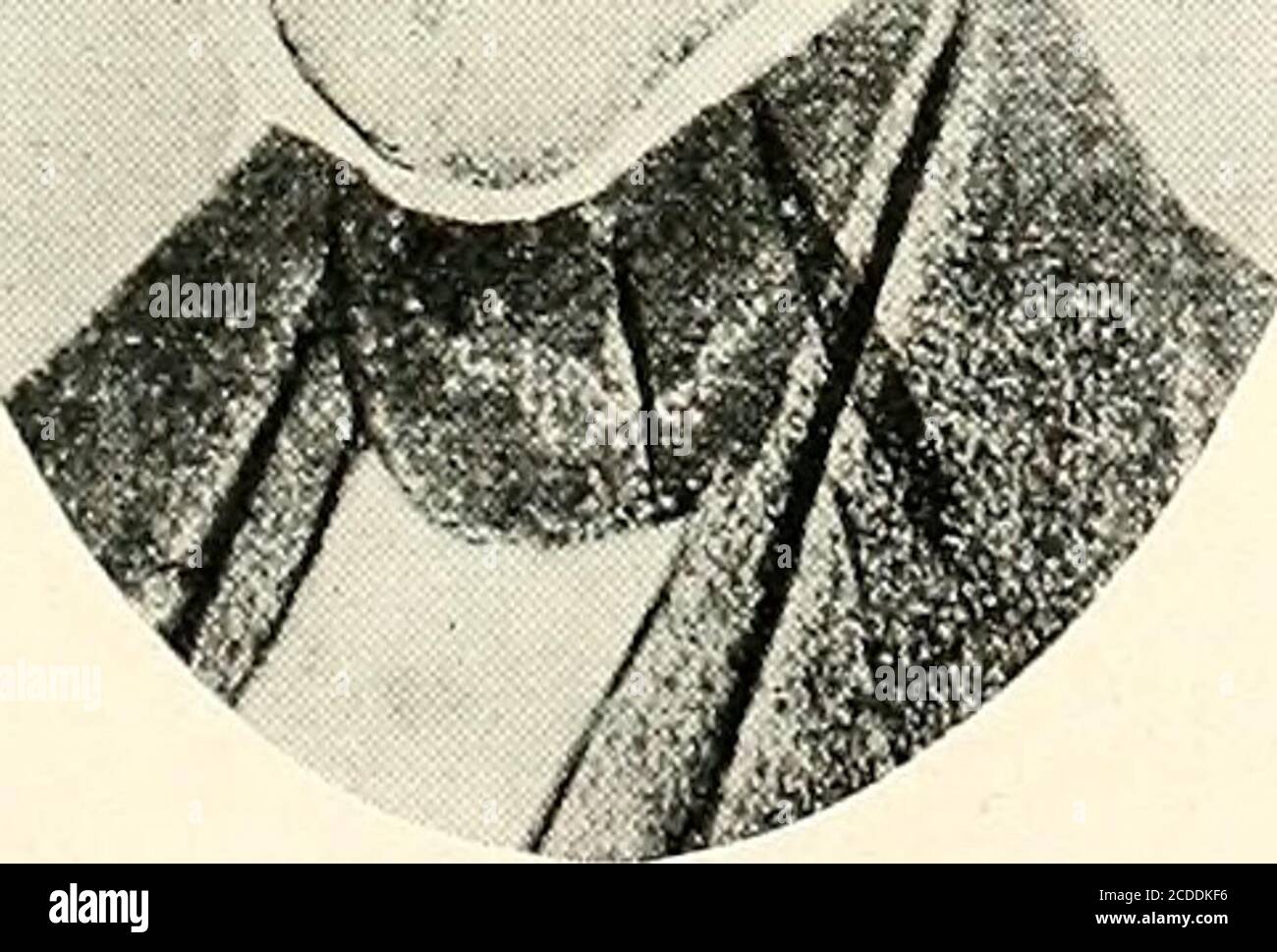 . The Black Hawk war : including a review of Black Hawk's life ...