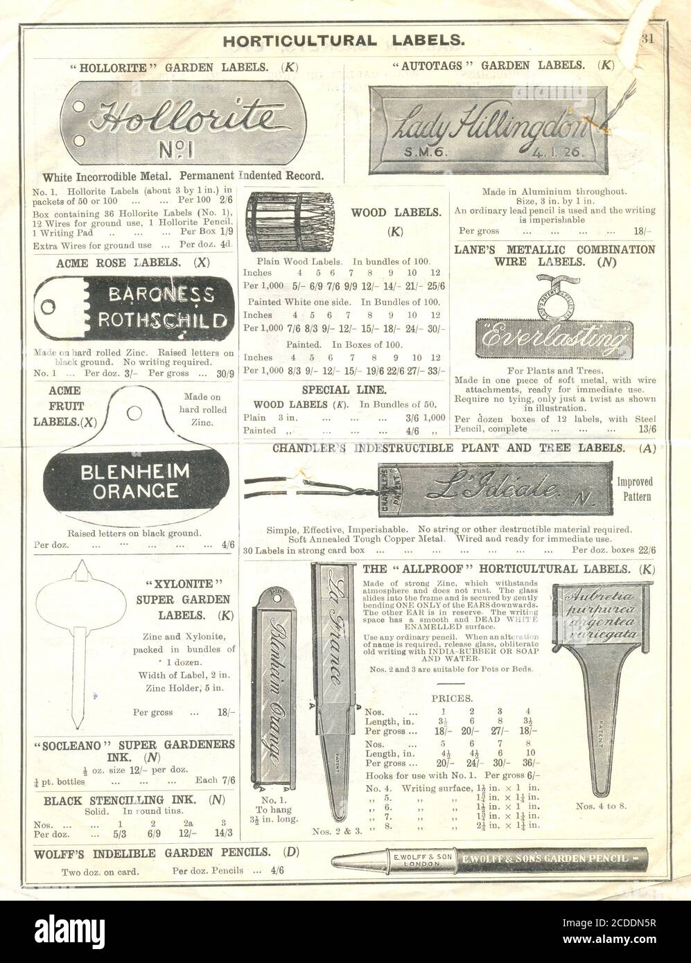 Tear sheets from a Victorian shop gardening catalogue circa 1895 Stock ...