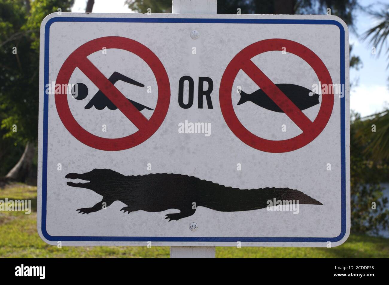 Care reptiles hi-res stock photography and images - Alamy