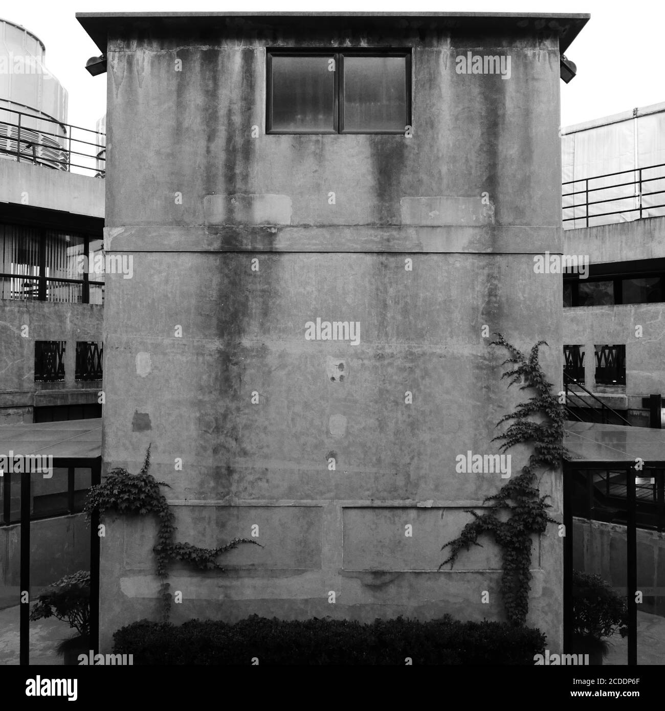 1933 Old Millfun, a slaughterhouse at Shanghai in Black and White Stock ...