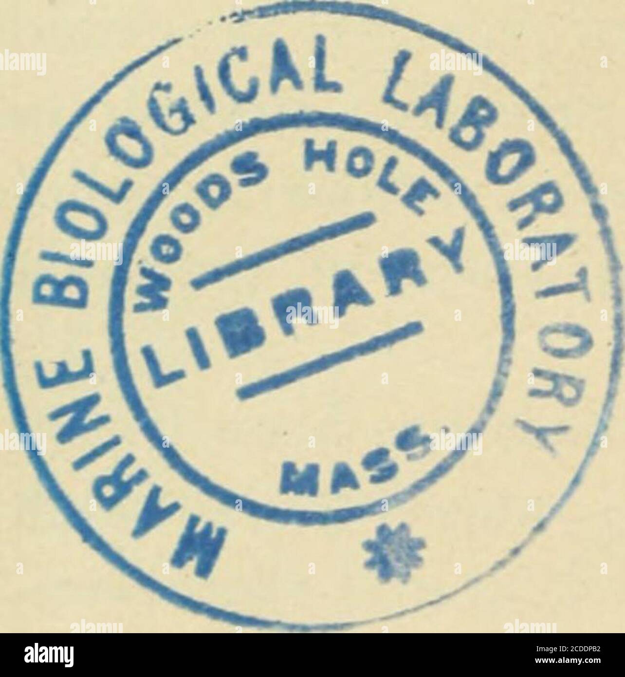 Phylogenetic diagram hi-res stock photography and images - Alamy