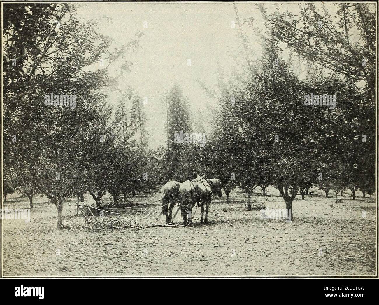 U pick farms hi-res stock photography and images - Alamy