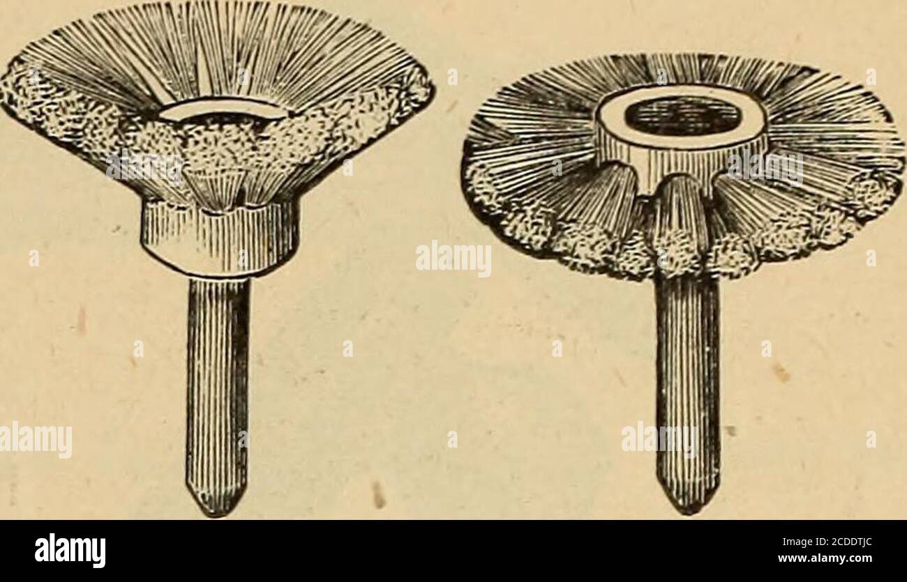 Walnut bits hi-res stock photography and images - Alamy